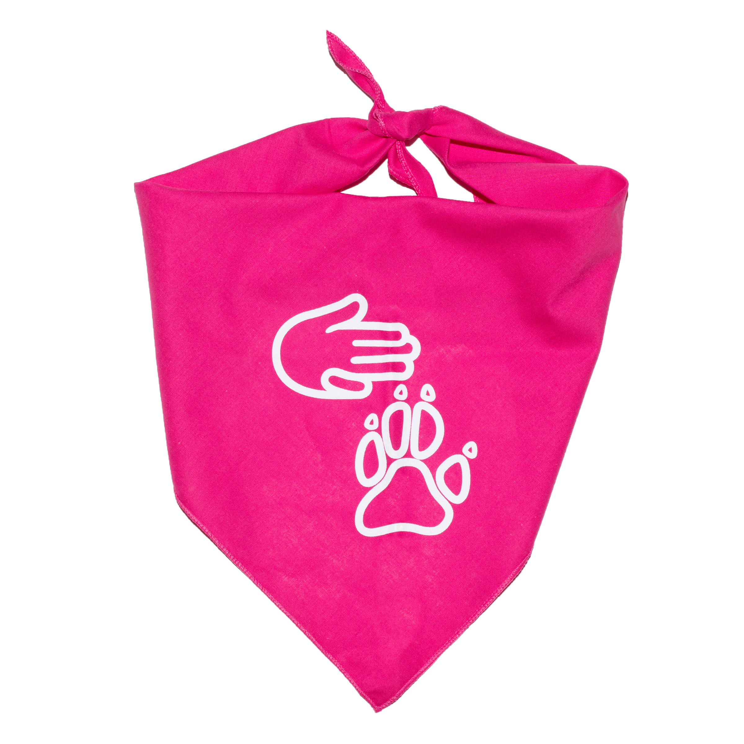 Pink Bandana Png