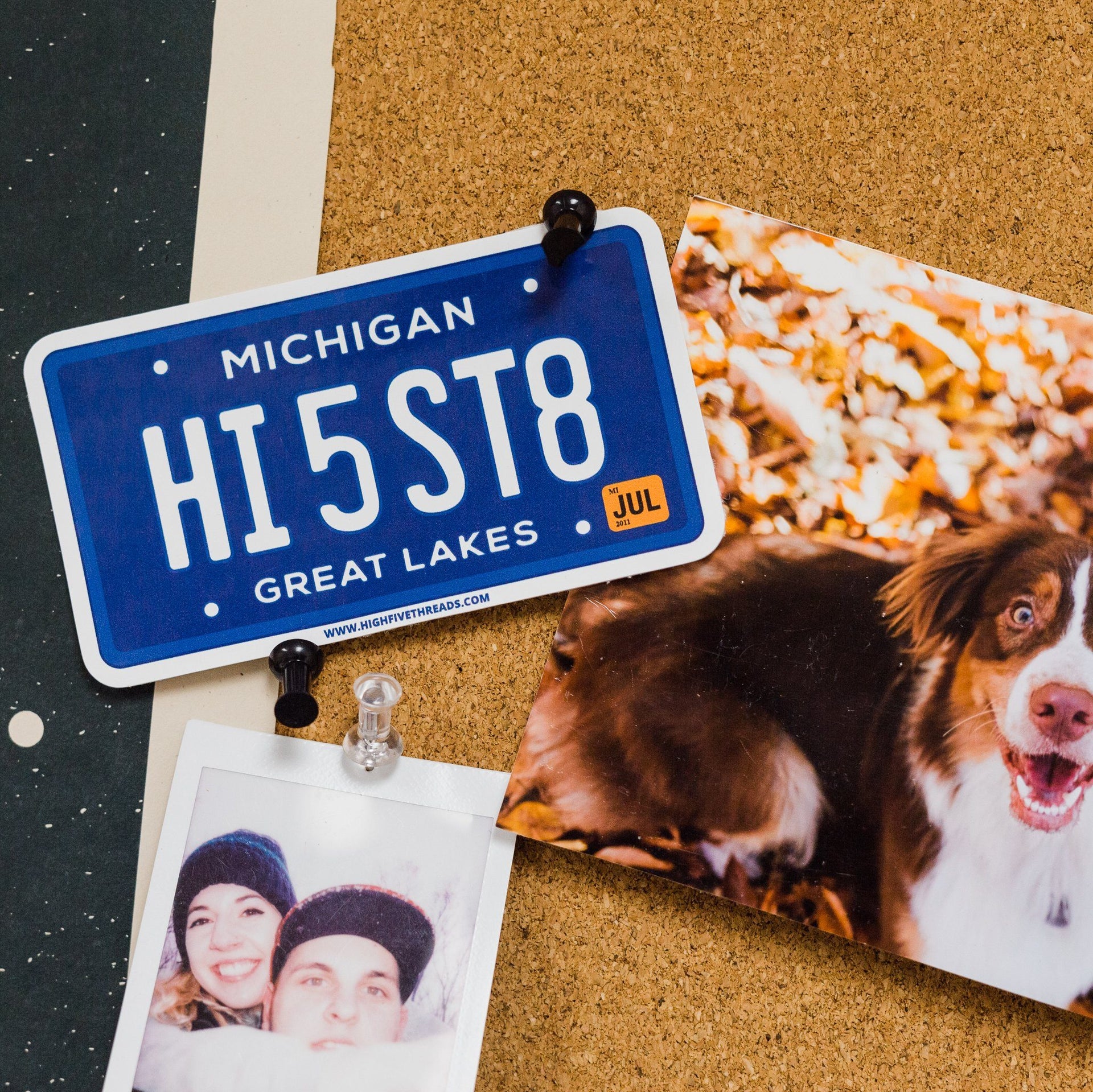 License Plate Sticker license-plate-sticker